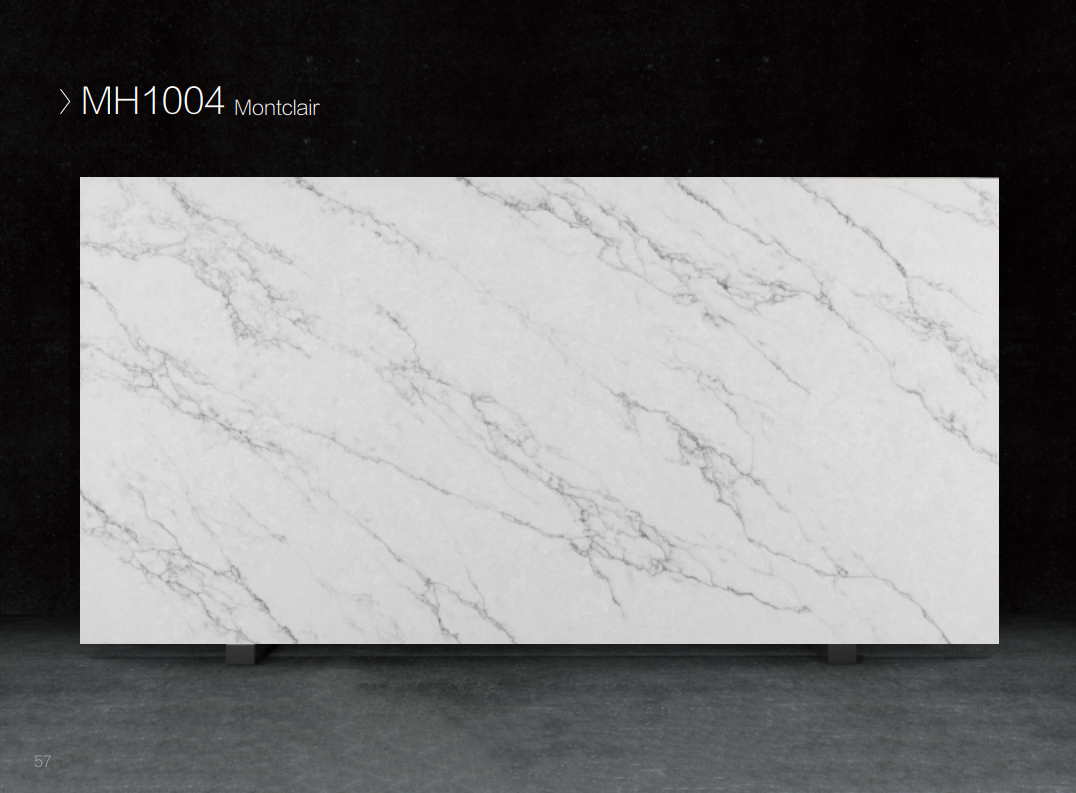 MH 1004 – Mega Home